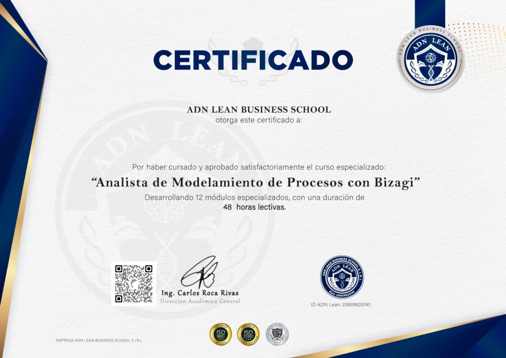 Analista de Modelamiento de Procesos con Bizagi